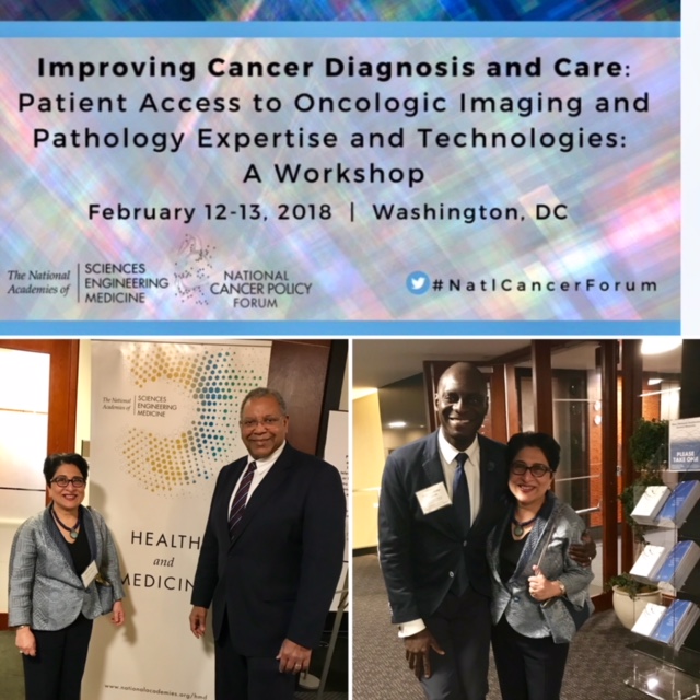 News and Announcements: Department of Pathology: Feinberg School of Medicine: Northwestern ...